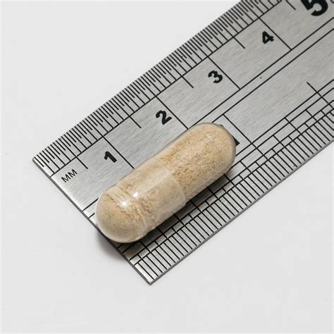 Ksm‐66® Ashwagandha Capsules Energy And Mood Support