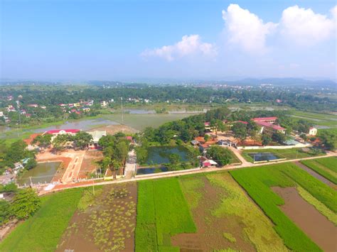 Top 9 Làm Bài Thu Hoạch Bảo Vệ Môi Trường Xanh Sạch đẹp Mới Nhất Năm