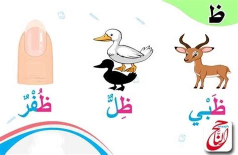 الحروف العربية للاطفال حرف الظاء بالحركات القصيرة مكتوب ومصور و Pdf In