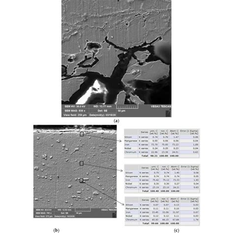 Sem Microstructure Of A Section Through The Corroded A Aisi 442 Steel Download Scientific