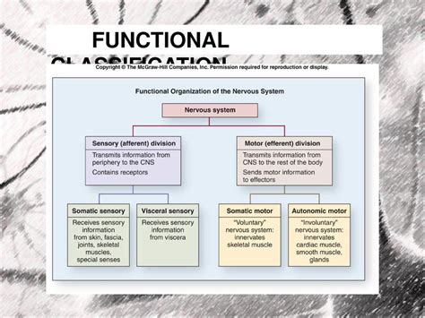 Ppt Download