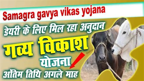 Samagra Gavya Vikas Yojana 2022 23 दुधारू डेयरी हेतु मिल रहा है 25