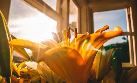 ℹ Guía Paso A Paso Para Solucionar El Error Kernel32 Dll En Windows 7 Consejos Y Trucos Efectivos