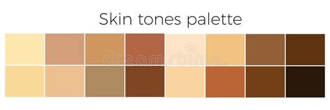 Human Skin Tone Set Stock Illustrations 1077 Human Skin Tone Set