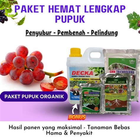 Jual Paket Pupuk Budidaya Anggur Organik Fase Pertumbuhan Pembuahan