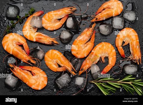 Boiled Shrimp And Ice On Wet Stone Surface Sprig Of Rosemary Flat Lay