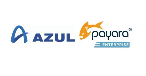 Payara Services And Azul Agree To Extend Contract To Secure Java Builds