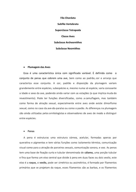 Aves E Mamíferos Chordata 2 Filo Chordata Subfilo Vertebrata