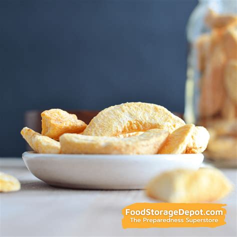 Ready Harvest Foodstoragedepot
