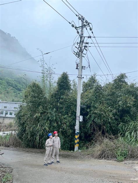 国网漳平市供电公司紧抓雨后特巡 筑牢电网安全防线 天气 线路 运行