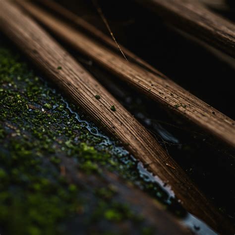 Traffic Congestion → Term