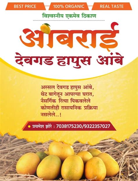 Devgad Alphonso Hapus Mango At ₹ 999dozen अल्फांसो आम In Pune Id