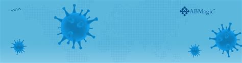 分子生物学试剂 北京良研悦创生物科技有限公司