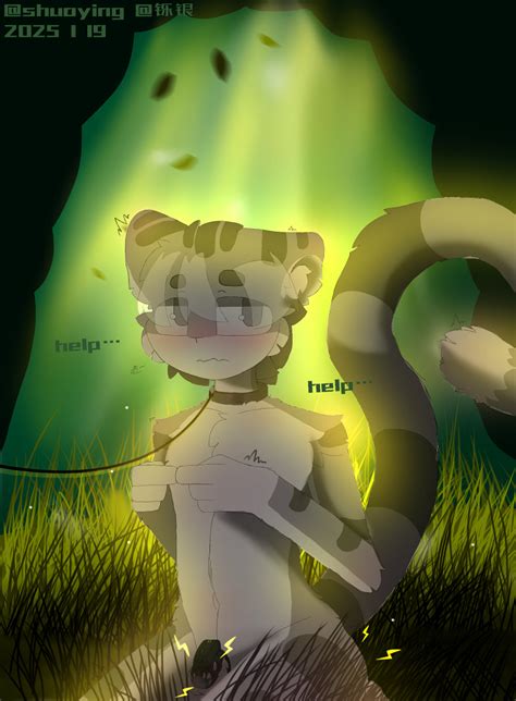 Rule 34 Collar Domestic Cat Felid Feline Felis Hi Res Male Mammal