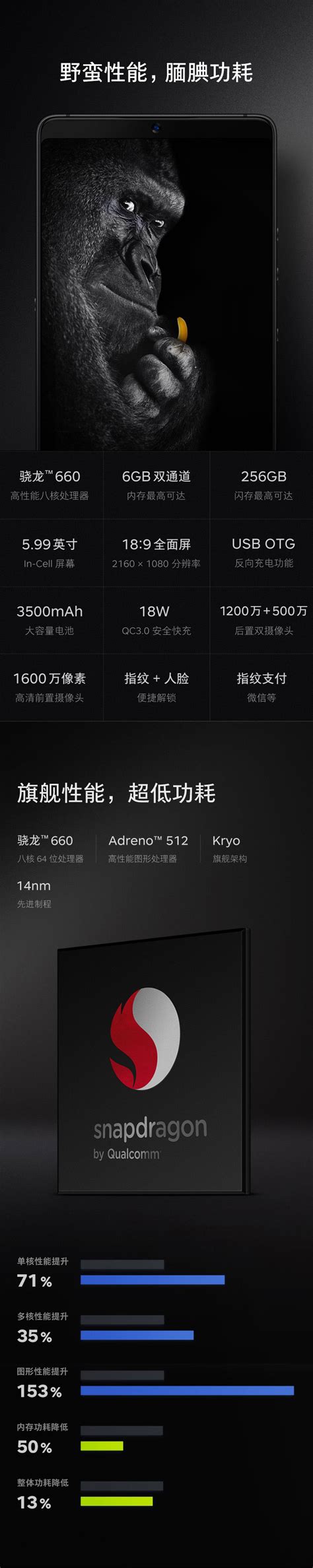Buy Smartisan Nut Pro 2 Cell Phone Black 256GB Online With Good Price