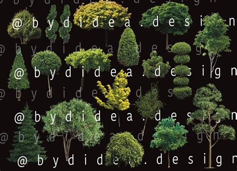 Procreate Trees Cutouts Interior Sketch Blocks Etsy