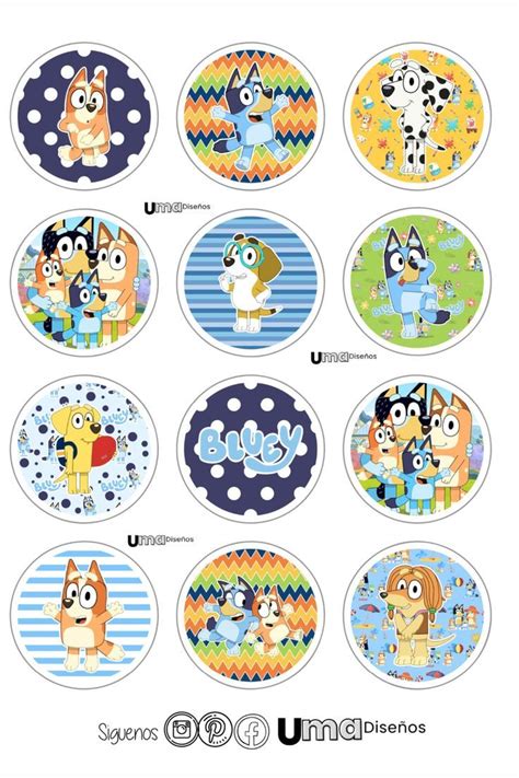 Toppers Bluey Artofit