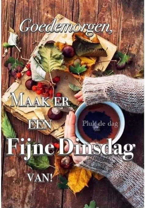 Pin Van Lydia Wiggers Op Herfstdagen Fijne Dinsdag Goedemorgen
