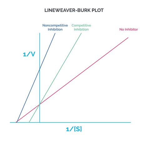 Competitive Inhibition Plot At Edward Mozingo Blog