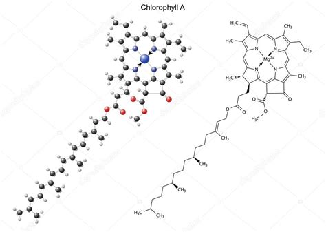 Structural Chemical Formula And Model Of Chlorophyll A Stock Vector Logos2012 50850083