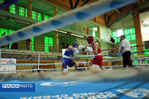 ۶ مدال حاصل تلاش مشت‌زنان پسر ایران برروی رینگ صربستان