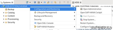 Sap S4hana 2022安装记录：4 安装sap Hana数据库 知乎