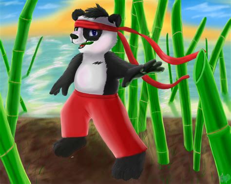 Kung Fu Panda Storm — Weasyl