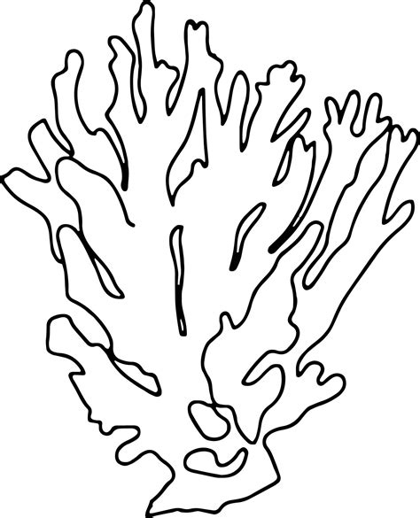 Sea Shell Outline Sketch Isolated On White Linear Simple Vector