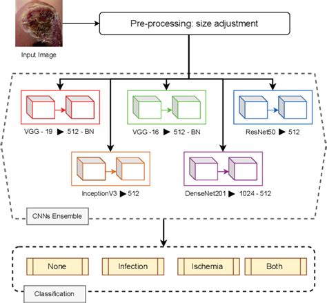 figure 2 from diabetic foot ulcers classification using a fine tuned