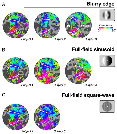 Orientation Maps Are Robust To A Variety Of Stimulus Manipulations