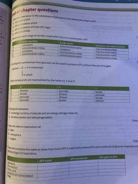 Biology Eoc Questions Chapter 12 Energy And Respiration Diagram Quizlet