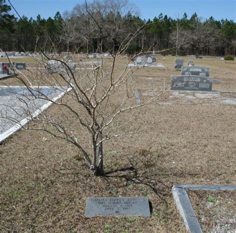 Patricia Dane Hollywood Actress And Tommy Dorseys Wife