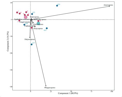 Principal Component Analysis Pca Including All Morphological