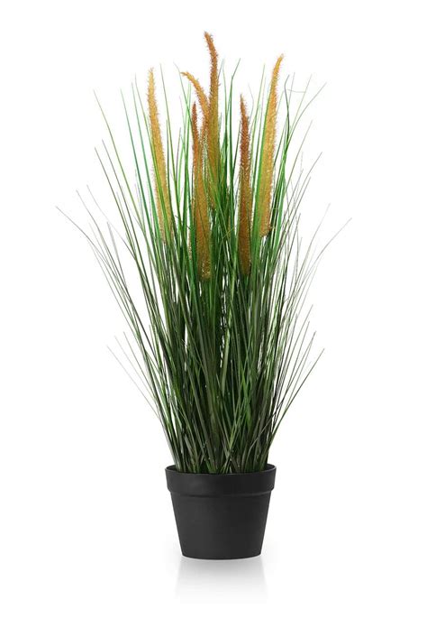 Buy Artificial Brown Foxtail Grass Online Plantshopme Uae