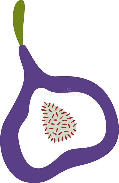 Fig Fruit Slice Stock Vector Illustration Of Sweet 312141210