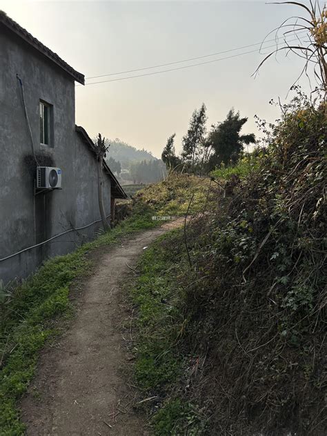 富顺县童寺镇芝溪高明二队请求政府帮忙修路 群众呼声麻辣问政 四川省网上群众工作平台 富顺县委书记