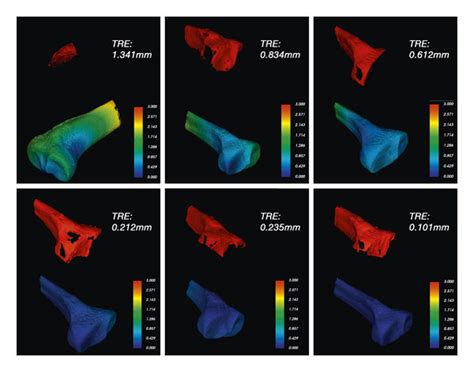 results of six different experiments the result of the bone