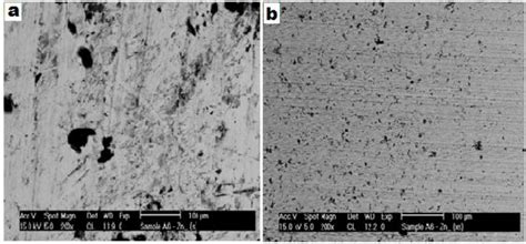 Scanning Electron Micrograph Of Zn Sample Showing A The Surface And