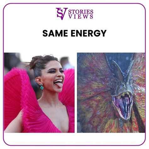Deepika Padukone In A Hilarious Meme Deepika Padukone Beautiful Hilarious