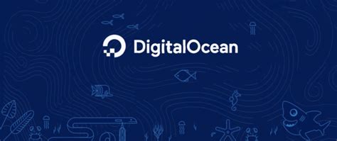 Ssh Permission Denied Publickey Digitalocean Permission Denied Publickey Dev Community