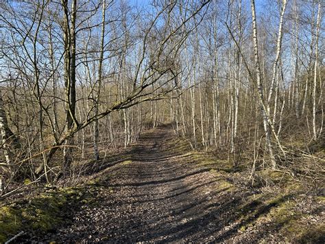 Lauwin Planque Map Of Lauwin Planque 59553 France