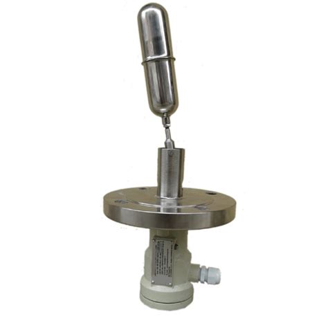 Side Mounted Liquid Level Switch At INR In Delhi S R Metal Industries