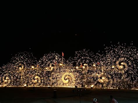 Coco Zhang On Linkedin Hello Everyone The Chinese Spring Festival Is Coming I Would Like To…