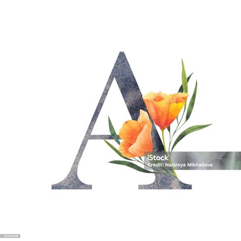 수채화 야생화가 있는 편지 A 꽃 알파벳 식물 꽃다발과 함께 고립 된 편지를 설정합니다 모노그램 이니셜은 결혼식 초대장 생일 인사말 카드 및 기타 디자인에 완벽하게