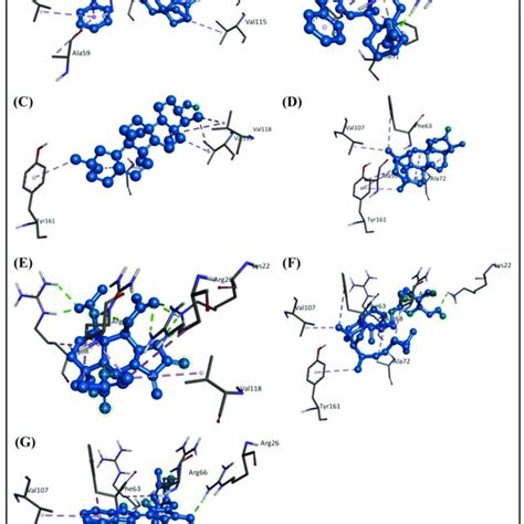 Three Dimensional Illustration Of The Interaction Of Bcl 2 Protein With
