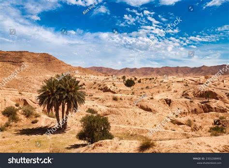 19 Thousand Tunisia Sahara Desert Tunisia Royalty Free Images Stock