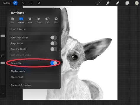 How To Add Reference Photos In Procreate Adventures With Art