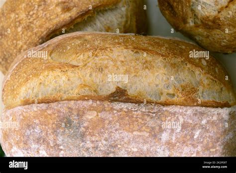 Bread Close Up Freshly Baked Sourdough Bread With A Golden Crust