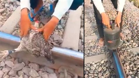 Railway Track पर सिलेंडर जिंदा मुर्गा बांधता था गुलजार शेखचौंका देगी