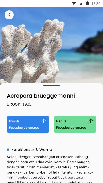 Github Sayapakailinuxpak Coral Id Bangkit 2021 Capstone Project